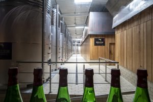 Inicio • Sidras Saizar