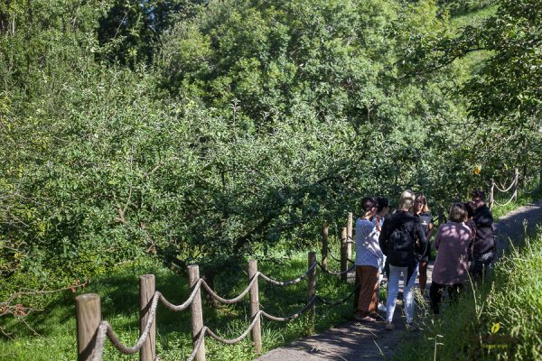 Experiences • Sidras Saizar