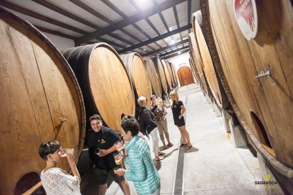 Experiencias • Sidras Saizar